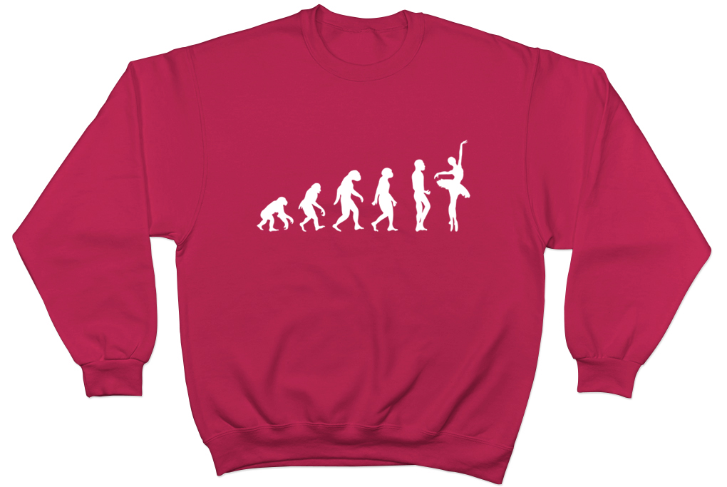 Evolution of Ballet Womens Ladies Dance Jumper Sweatshirt | eBay